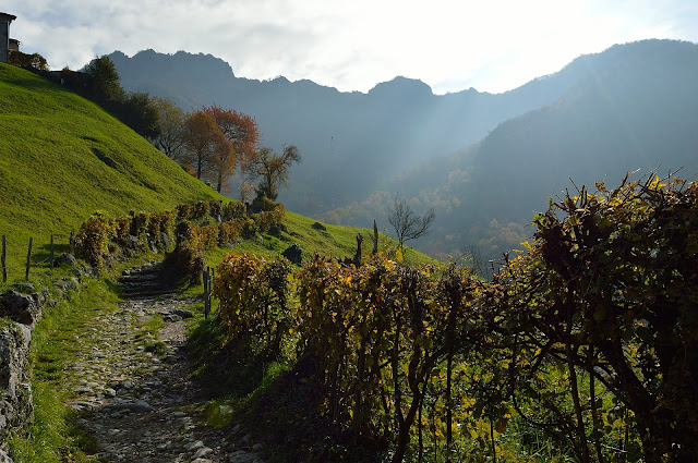 Trekking in Italy. Hiking from Lecco to Monte Resegone