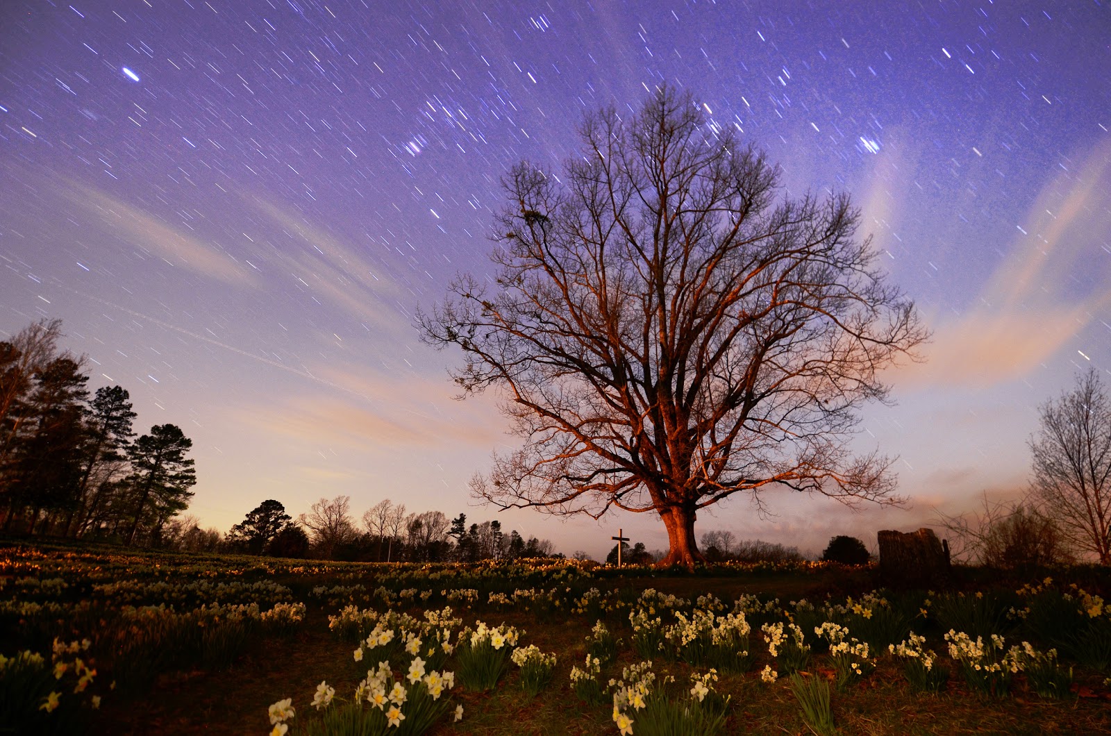 Wood Between the Worlds: Audrey Assad: Fortunate Fall