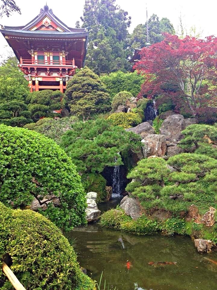 The Adventures of Tash Point Whoa...