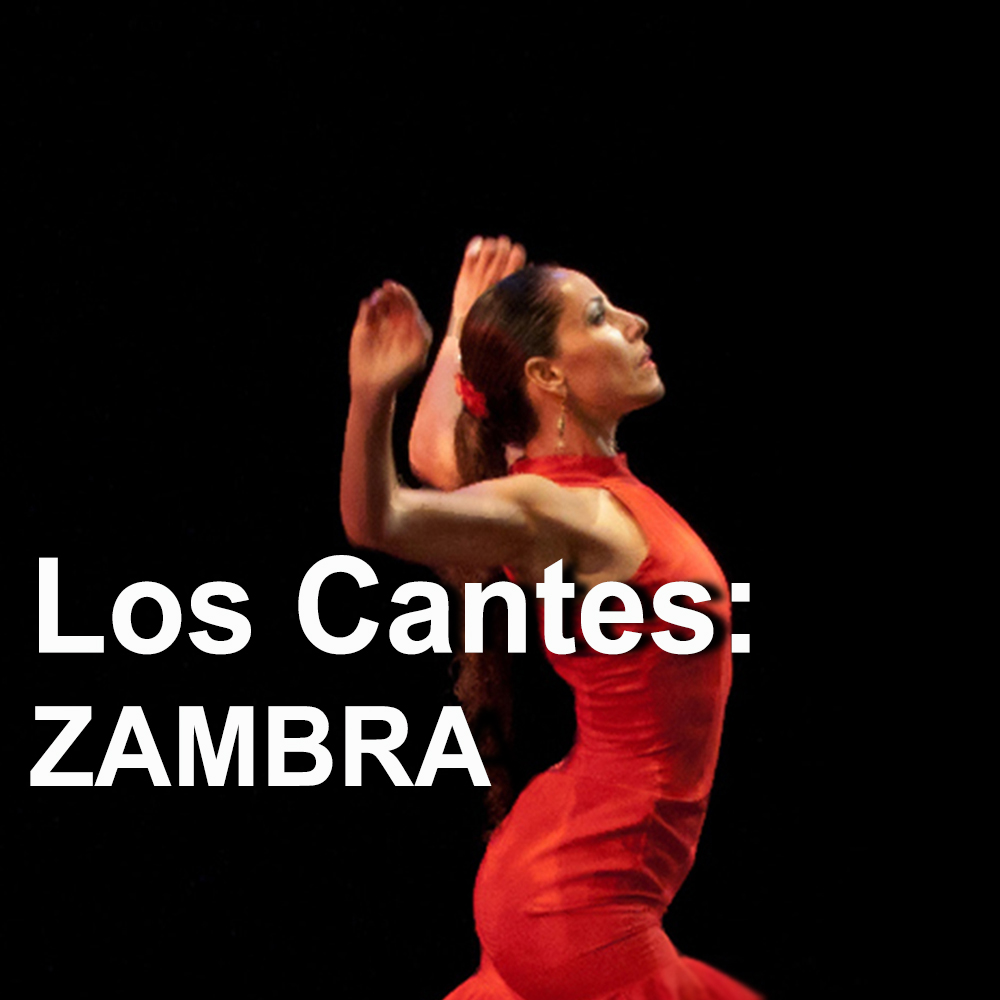 ZAMBRA - El ÁRBOL GÉNESIS del FLAMENCO