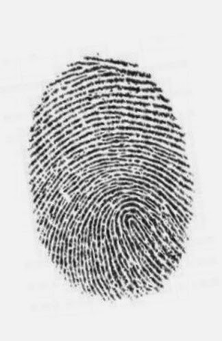 What is a fingerprint? | Facts About All