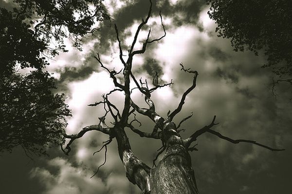 Εμφάνιση 5 Εμφάνιση όλων