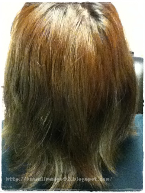 SweetCandy72: Palty Hair Dye Review