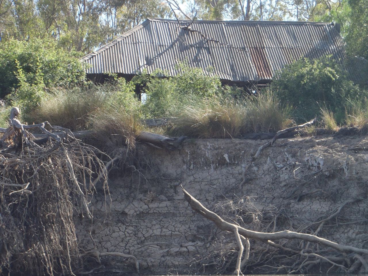 Murray River Kayak.: Day 5: 1489 to1435 km to the sea: Murrabit, Mud ...
