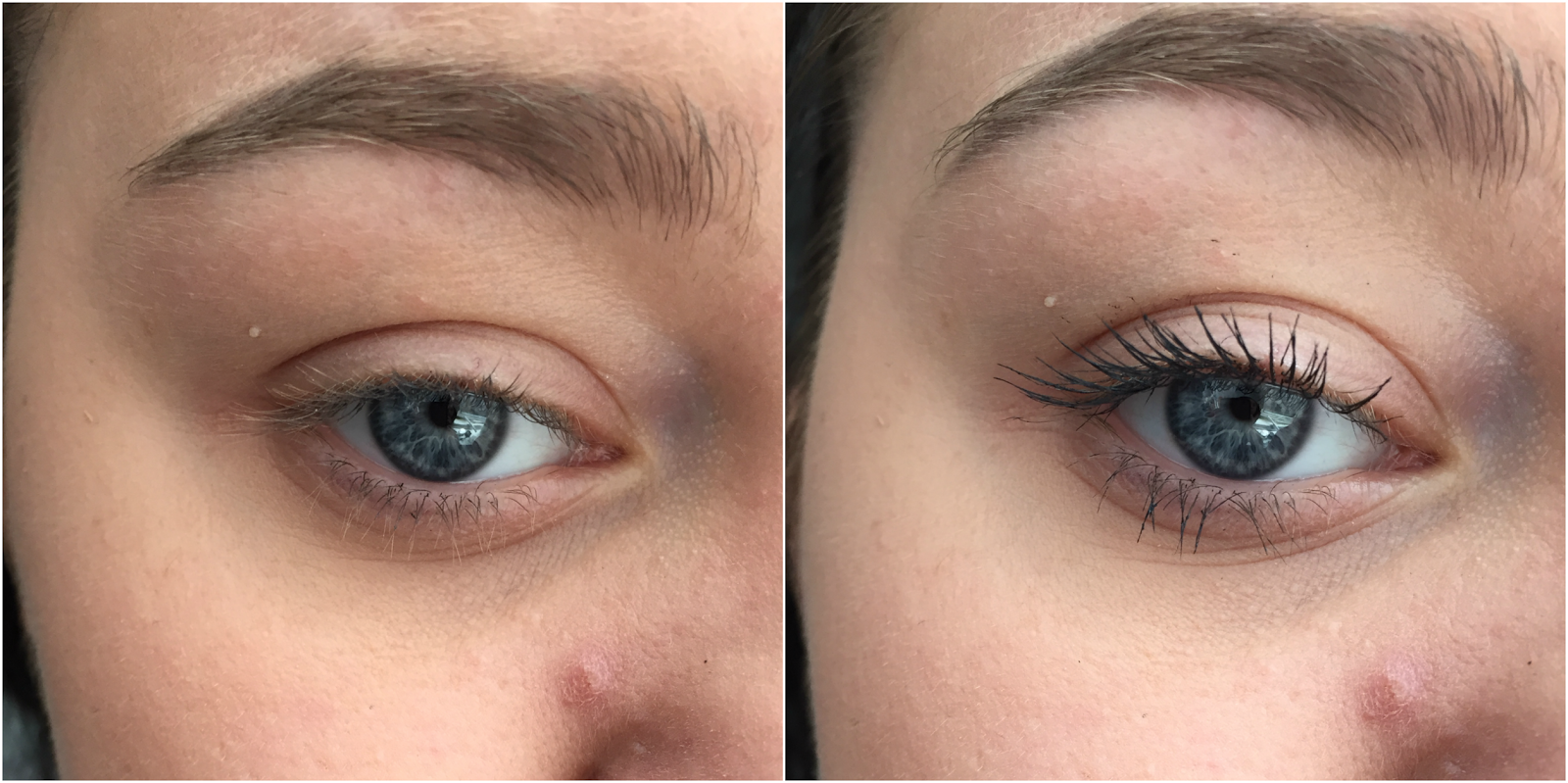 The Colossal VS Baby Roll - Review/Battle