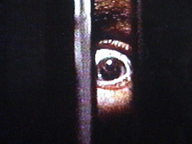 Jasen T. Davis: The Tao of Steve Royall - Comedy