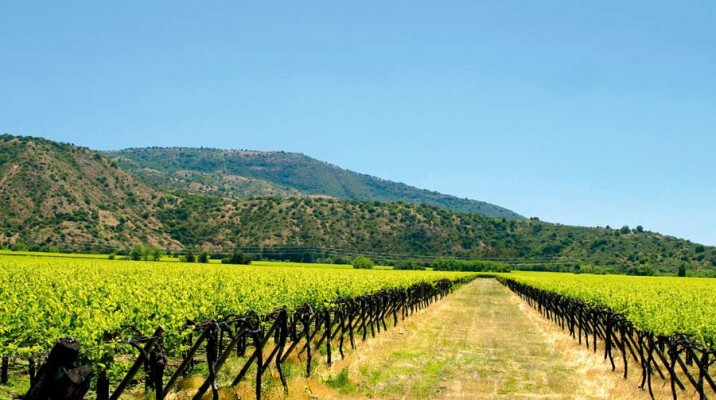 INFORMÁTICA APLICADA A LA AGRICULTURA.: La agromatica y agronica