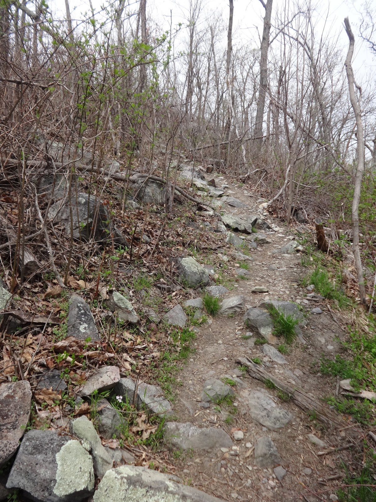 Appalachian Trail Section hiking: Ashby Gap to Snickers Gap