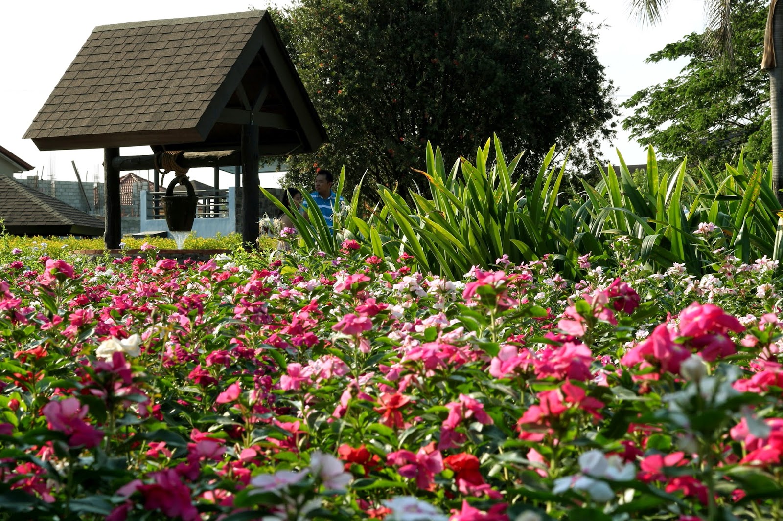 Langyaw: Rave of Pasig (Pasig Rainforest Park)