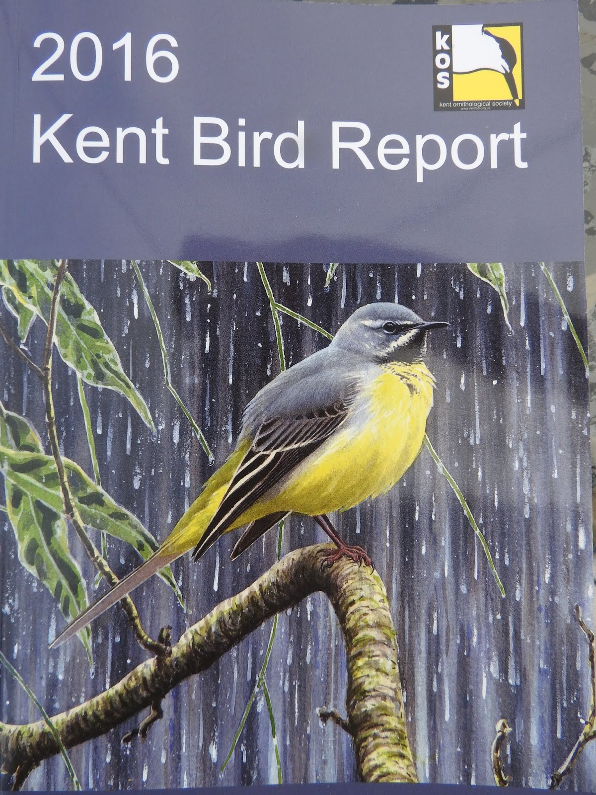 Plovers Blog: Kent Bird Report 2016