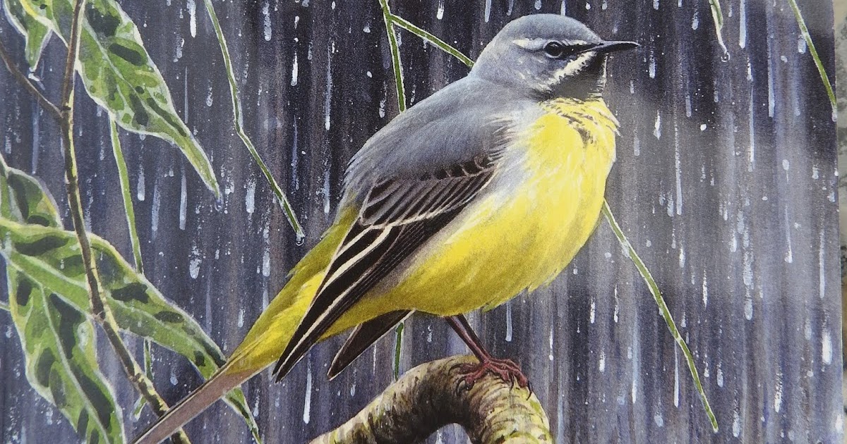 Plovers Blog: Kent Bird Report 2016