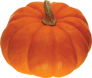 Remake blog gospel jovem!: 42# Aboboreira, eu te amo! [Jean RTV]