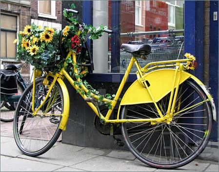 BECOMING A DESIGNER: FLOWER BIKES IN AMSTERDAM