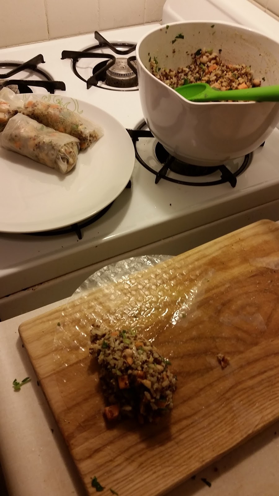 Journey Through Food: Protein Packed Spring Rolls