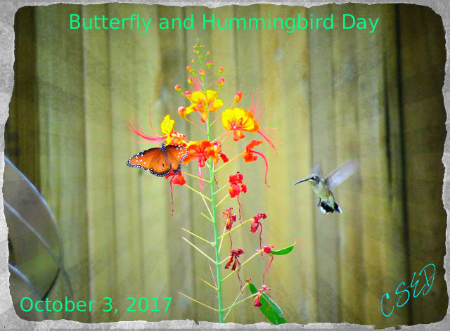 Crazy Days To Celebrate: October 3, 2017