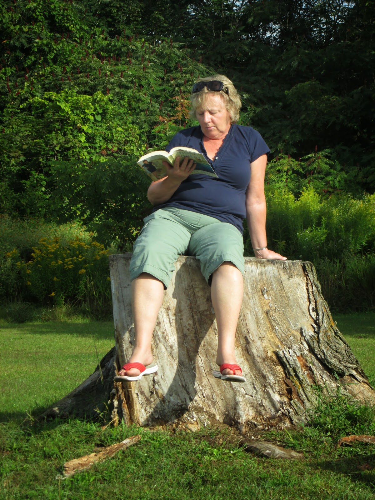 Adventures of Surona and DeJa Vu