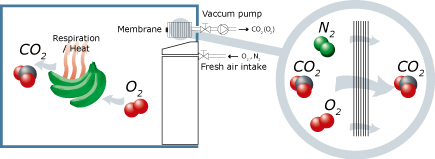 Controlled Atmosphere
