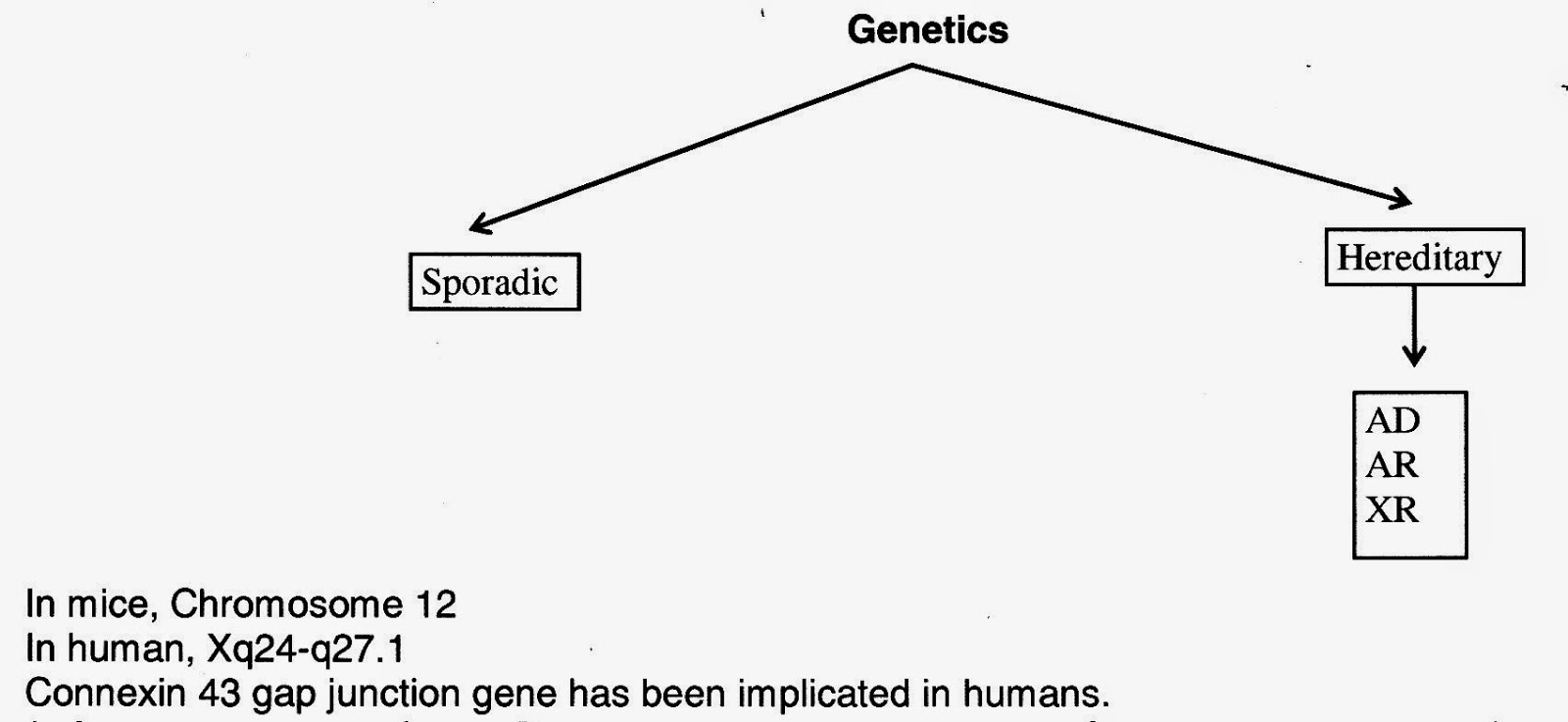 Pedi cardiology: Heterotaxy