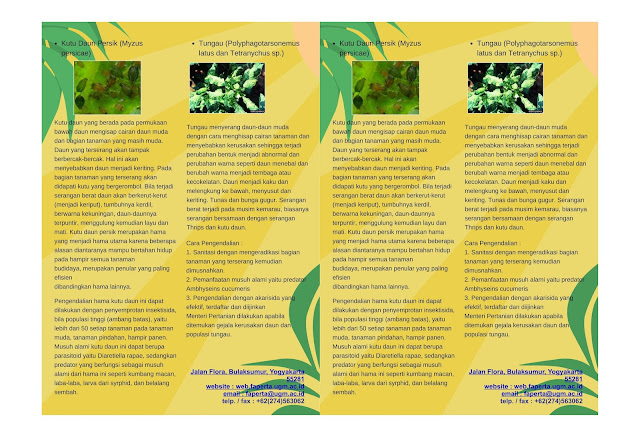 LEAFLET_KELOMPOK 4_Pengendalian Hama dan Penyakit Pada Tanaman Cabai