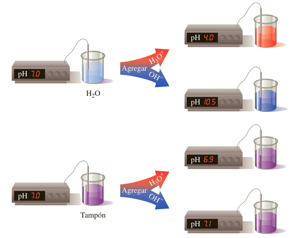 JM BIO: SUSTANCIAS AMORTIGUADORAS DE pH O TAMPÓN