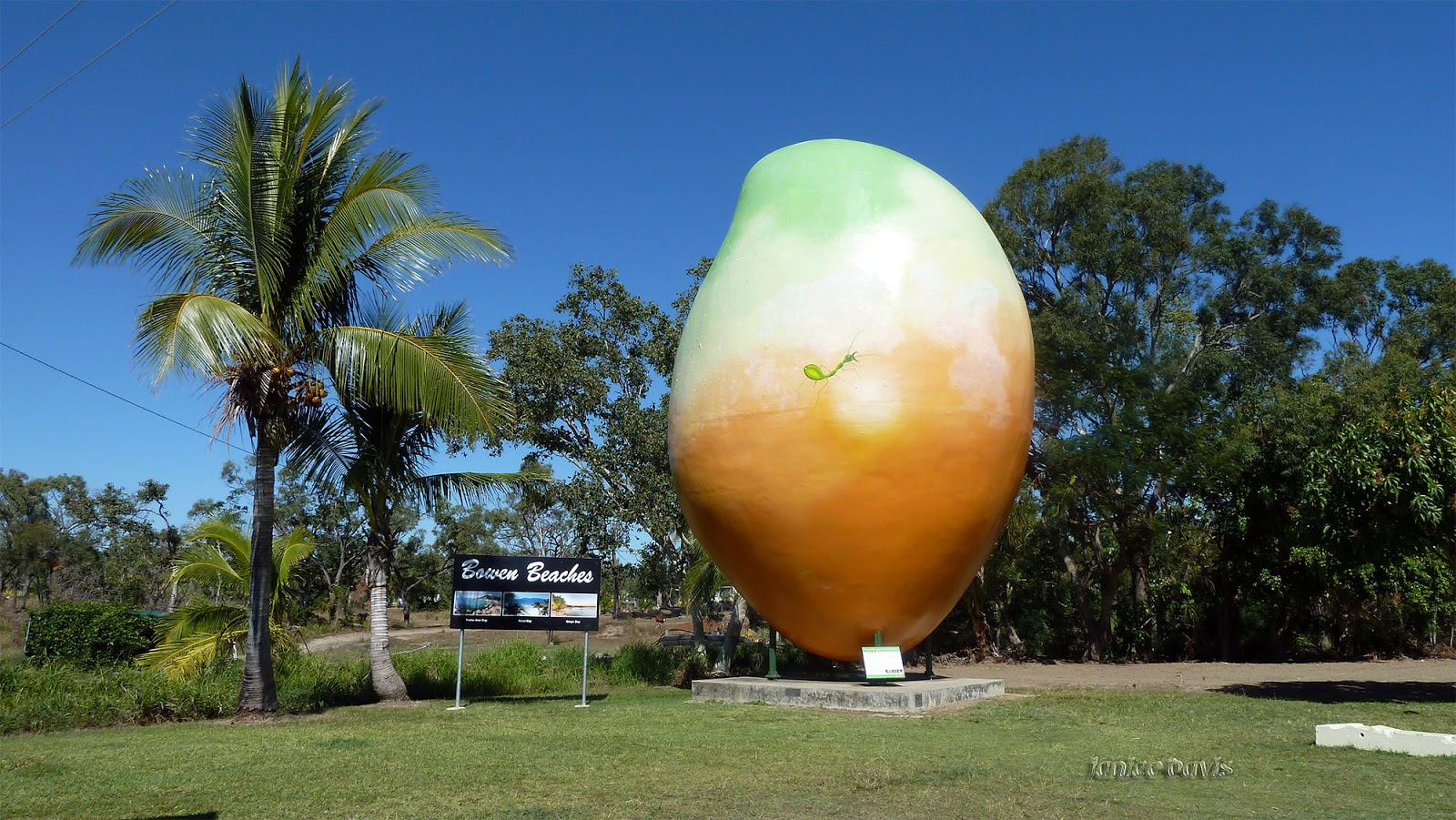 thoughts & happenings: To Bowen, Queensland.