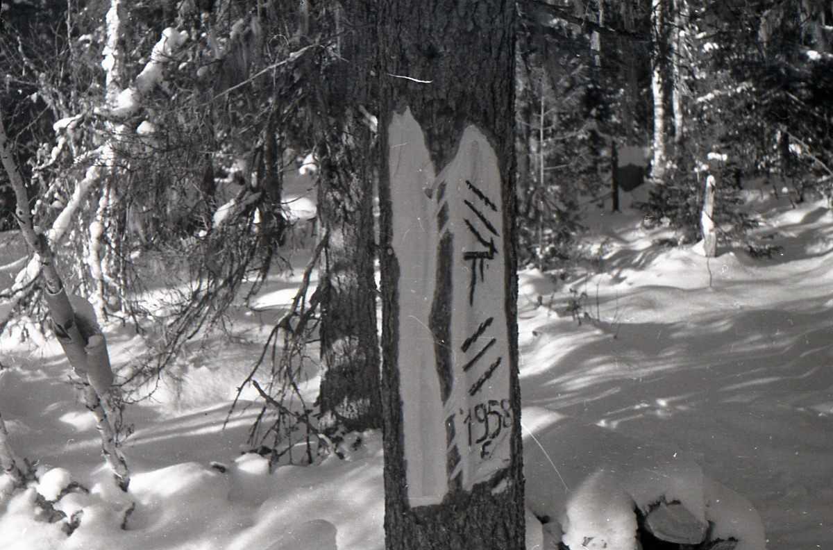 Holly Amber Stokes: THE MYSTERY OF DYATLOV PASS