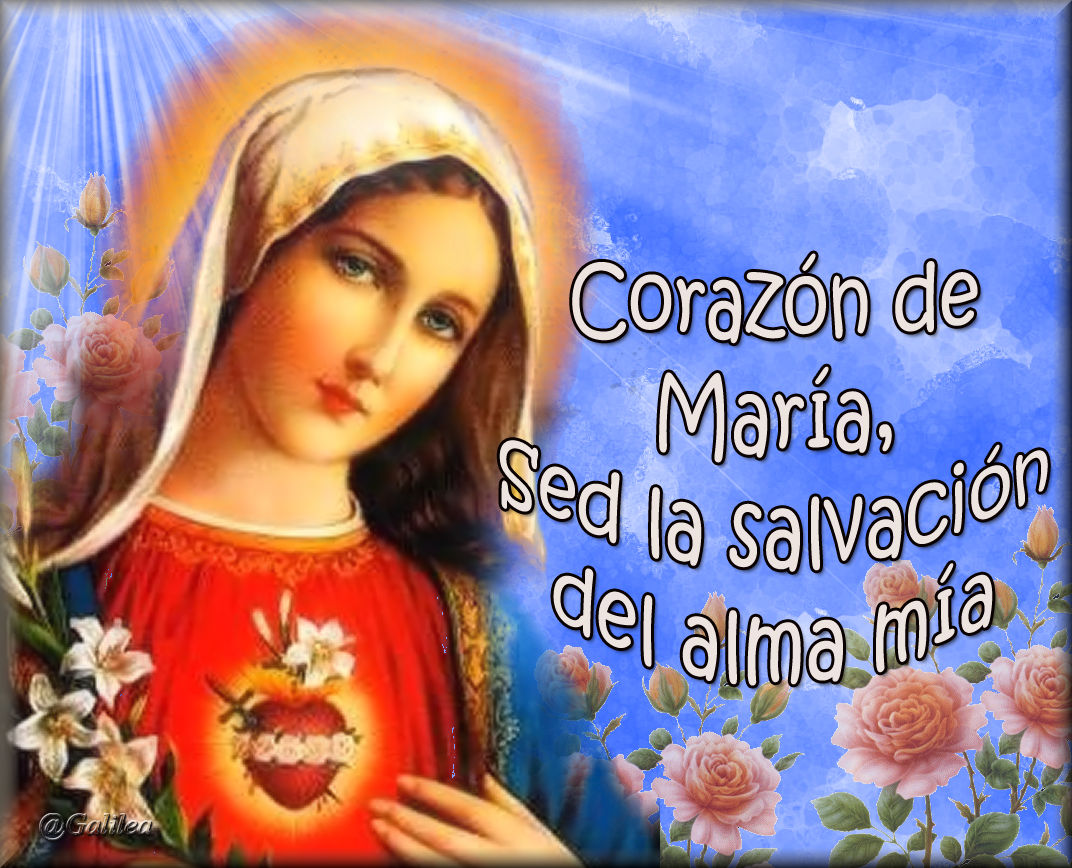 Santa María, Madre de Dios y Madre nuestra: Corazón de María