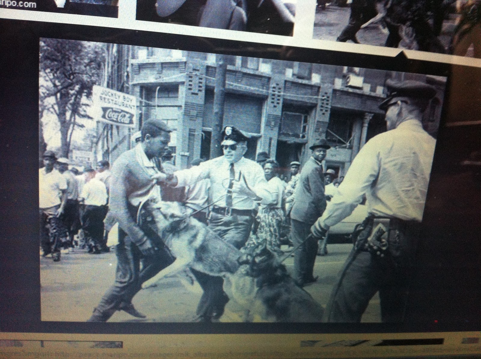 THE BLACK SOCIAL HISTORY:: BLACK SOCIAL HISTORY : ALBANY MOVEMENT WAS A ...