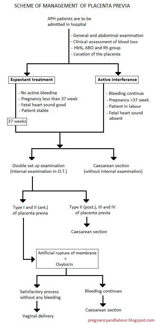Pregnancy & Labour: Placenta previa (Implantation of placenta in lower ...