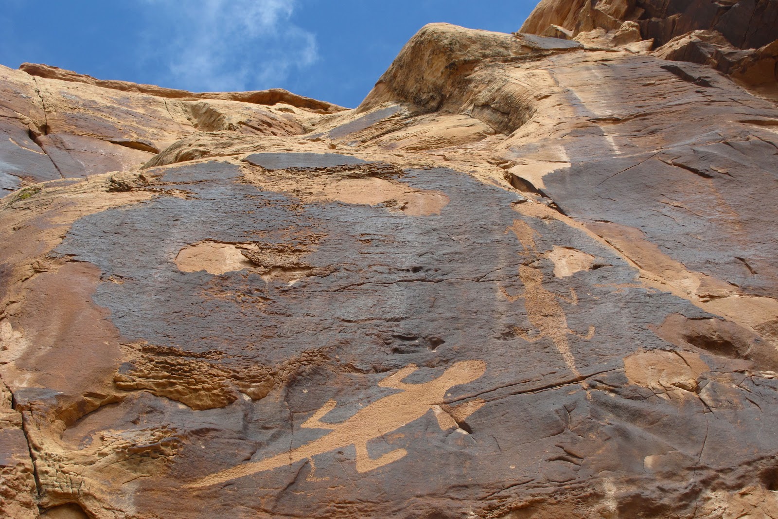 Red Rock Adventures: Dinosaur National Monument