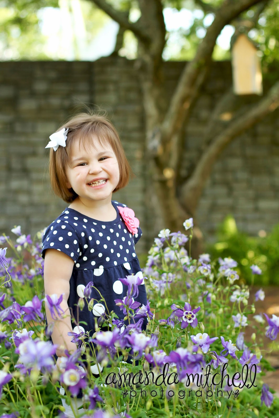 Amanda Mitchell Photography: Mini Sessions