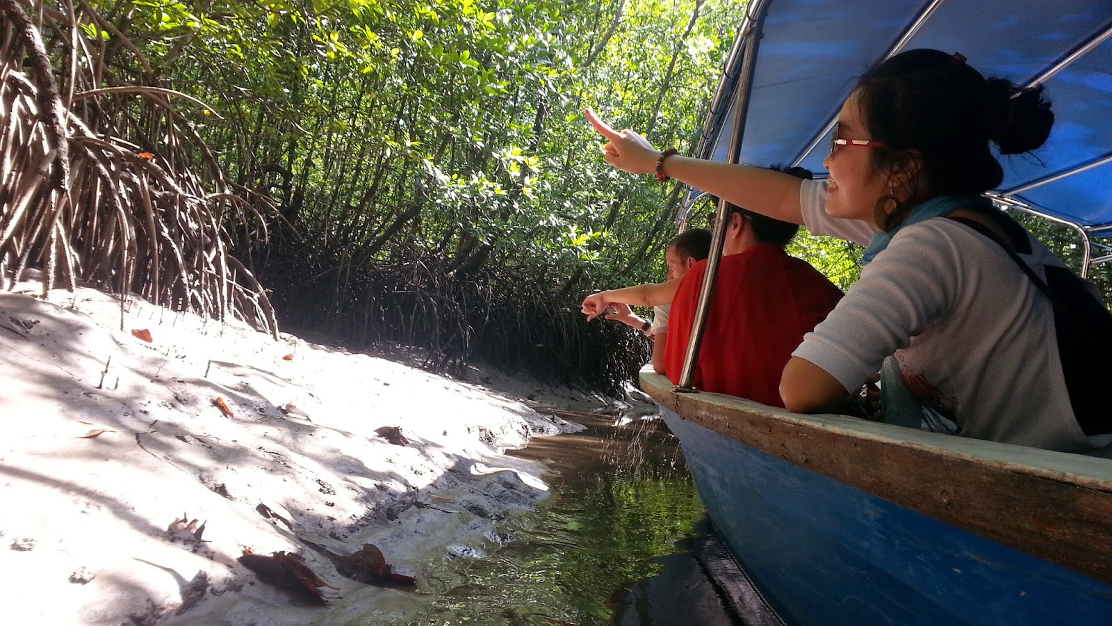 Langkawi Mangrove Tour: Mangrove Tour by Boat