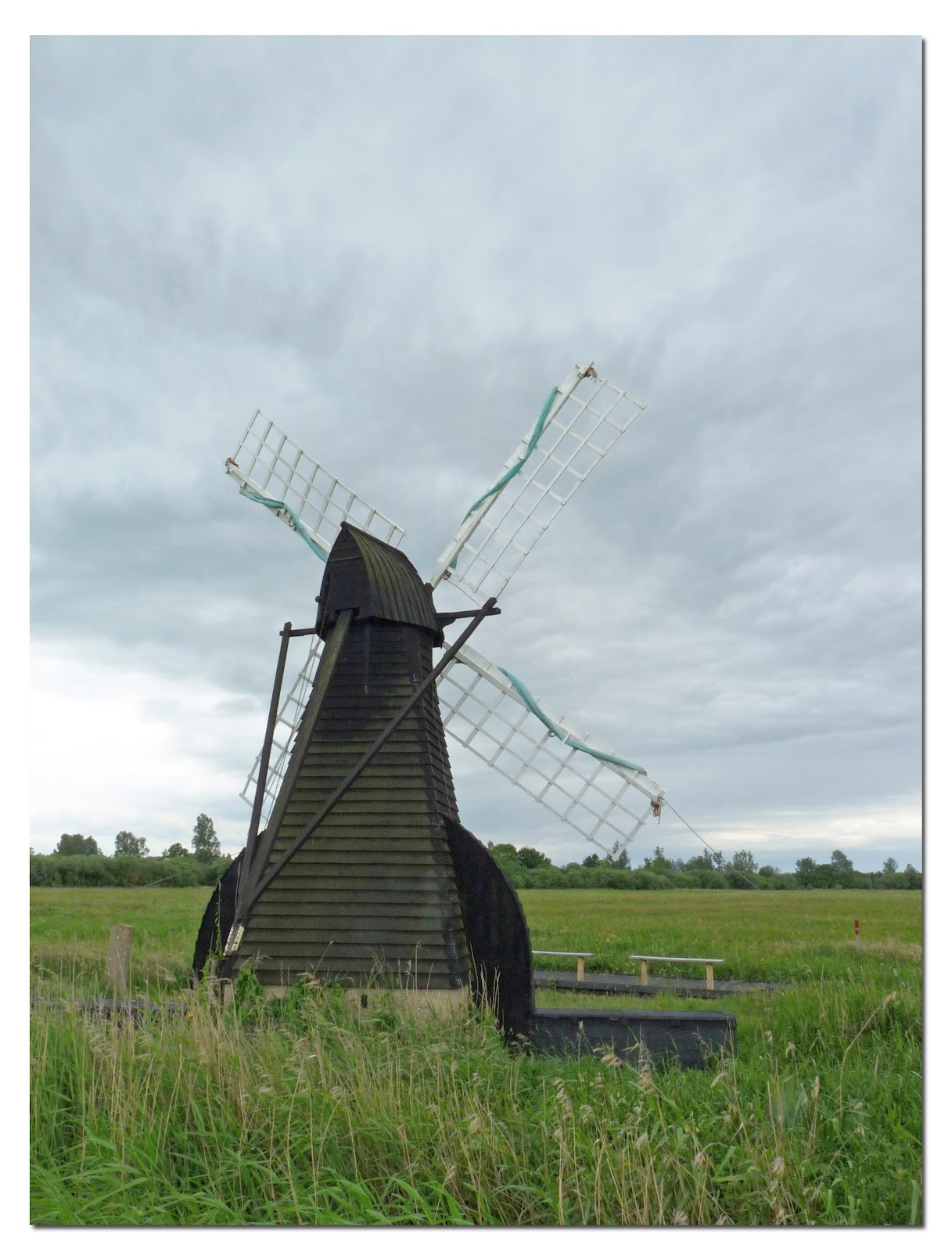 Wild and Wonderful: Odonata (9): Wicken Fen ... Black-tailed Skimmer