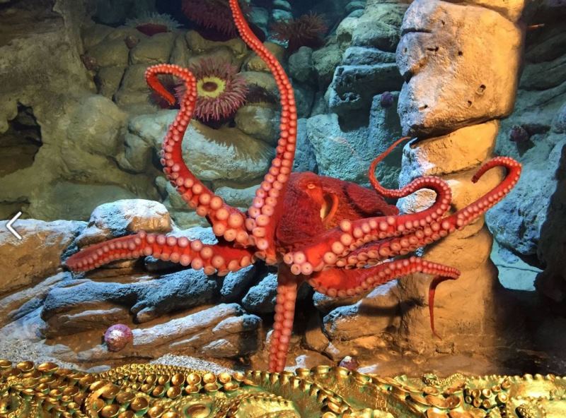 Exhibit Galleries Blog