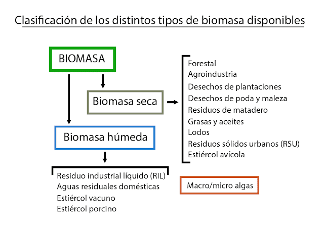 ElectroSol: Clasificación de las biomasas