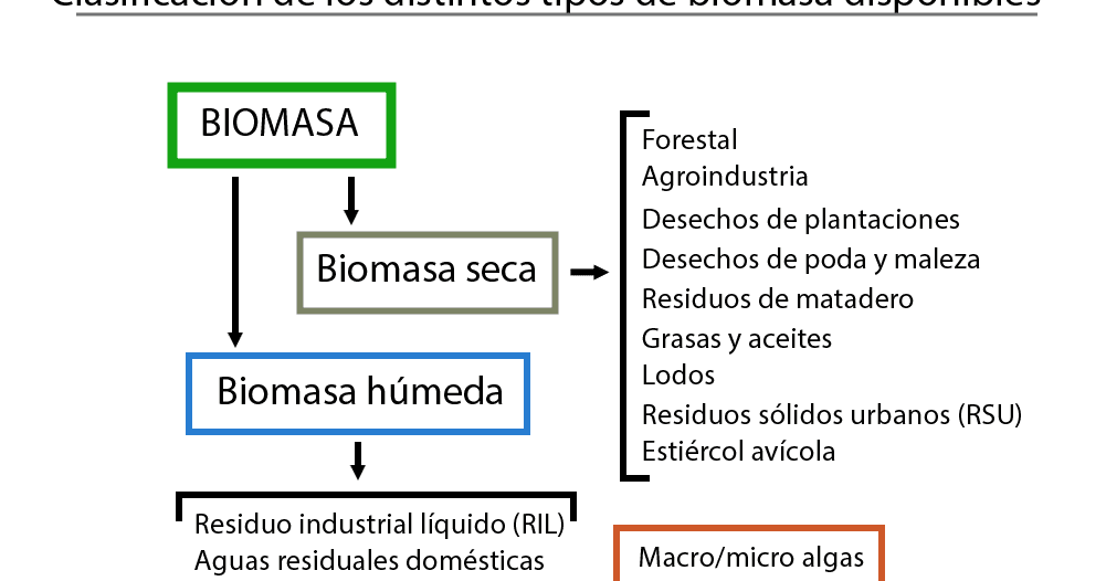 ElectroSol: Clasificación de las biomasas