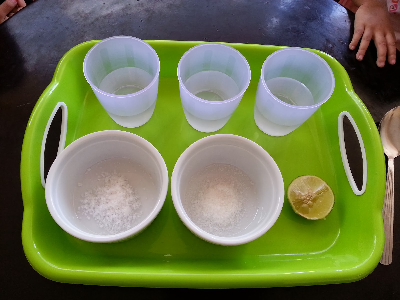 Mama Homeschool: Eksperimen: Deria Rasa (Lidah)