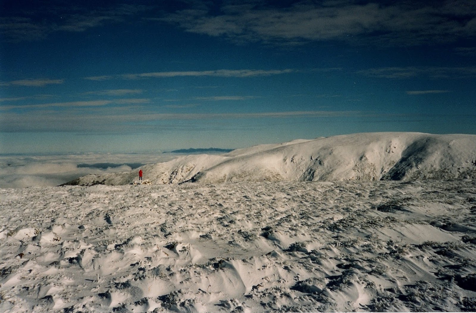Goin' Feral One Day At A Time: Mount Bogong, Alpine National Park ...