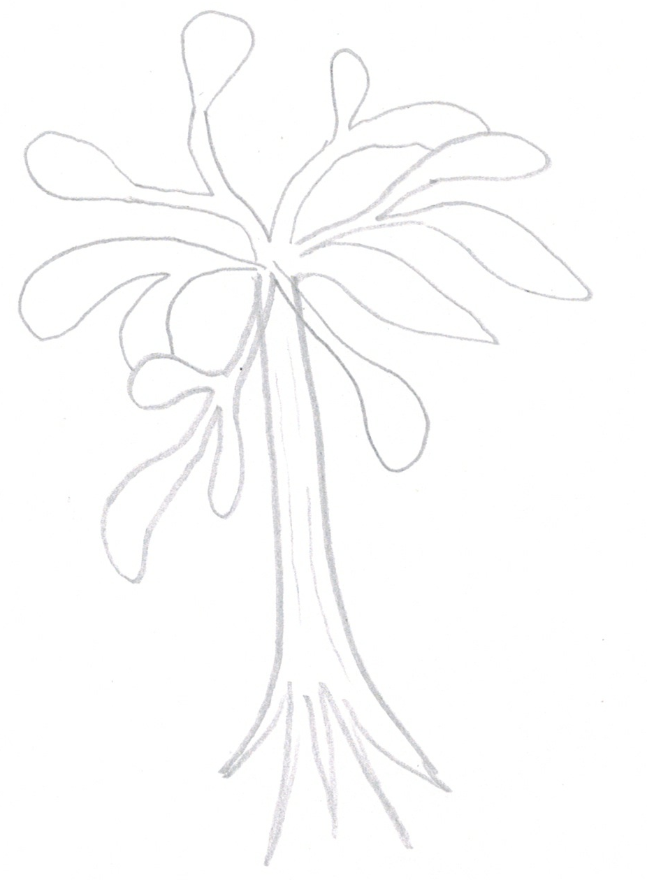 Choose Your Own Evolution: Megaphylls