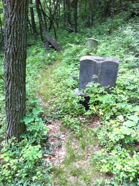 Hawksbill Cabin: Piney Branch - Piney Ridge Trail: a 75@75 Hike (part 2)