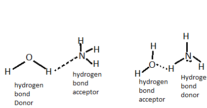 Chemistry Works: Hydrogen Bond