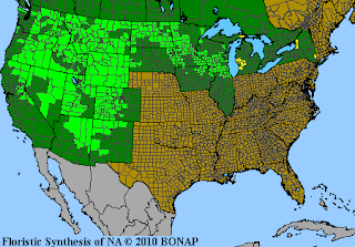 Restoring The Landscape With Native Plants: Native Plant of the Week ...