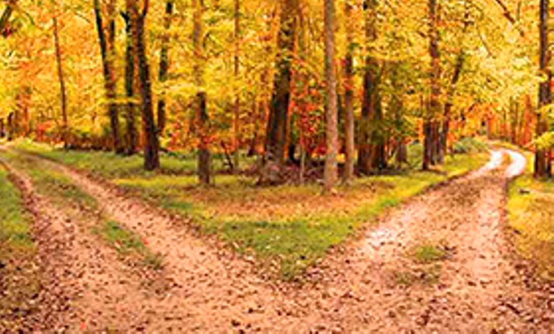 G.O. Jesus Misericórdia e Paz: OS DOIS CAMINHOS