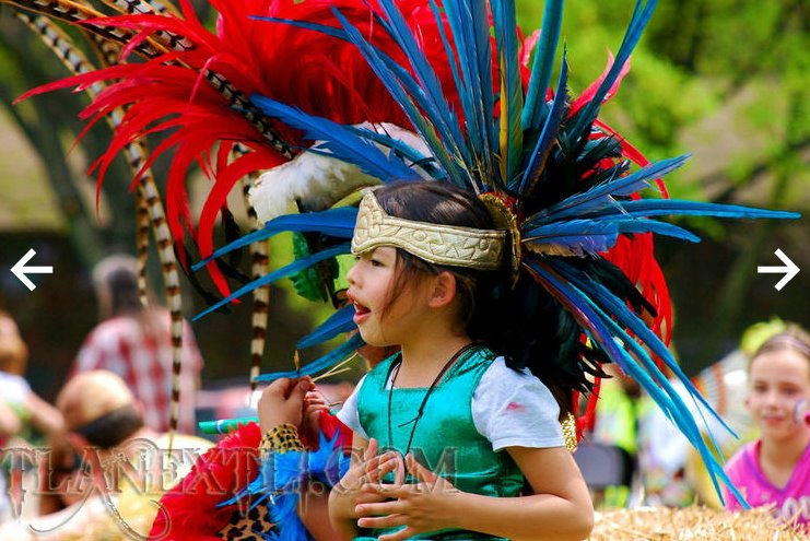 White Wolf : Universal Children's Day takes place annually on November ...