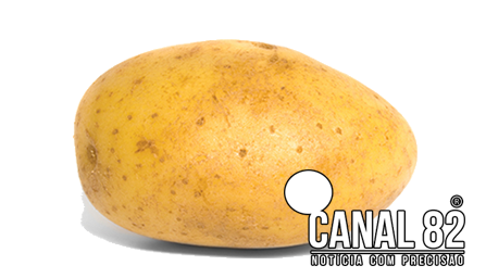 terça-feira, outubro 07, 2014