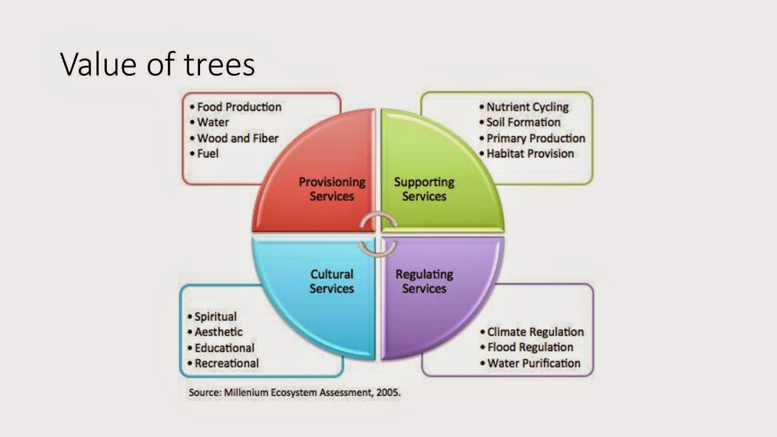 Futures Forum: Sidmouth Arboretum: The Value of Trees