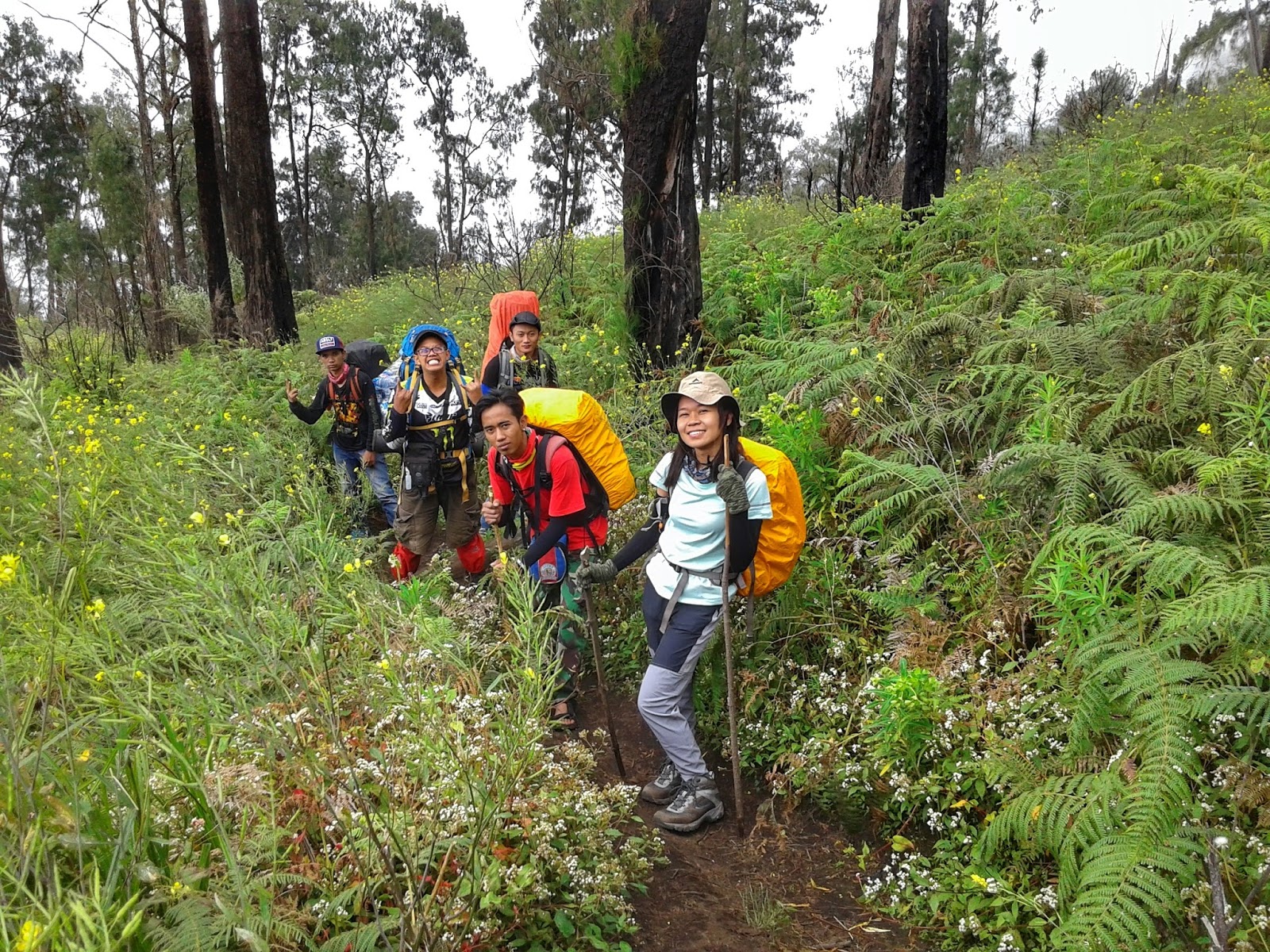 SaSa : WONDERFUL OF BUTHAK MOUNTAIN