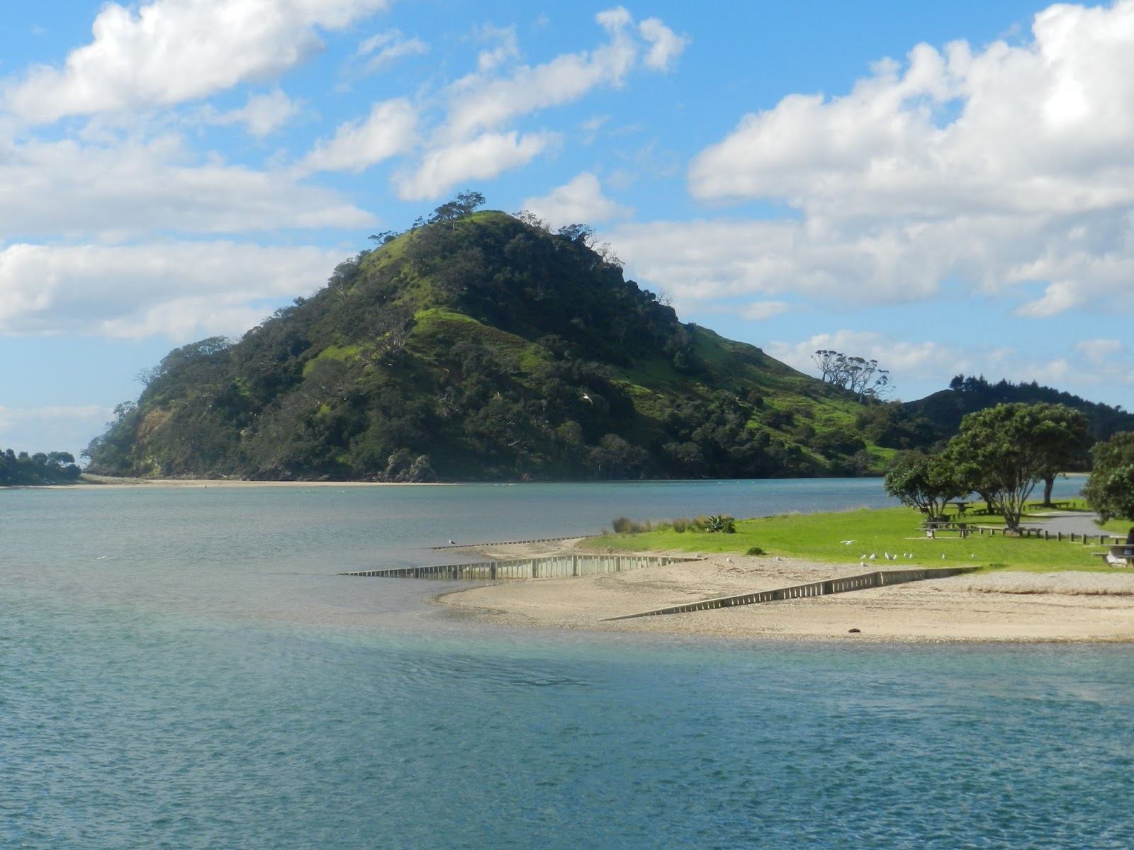 The Paddock: Pataua south