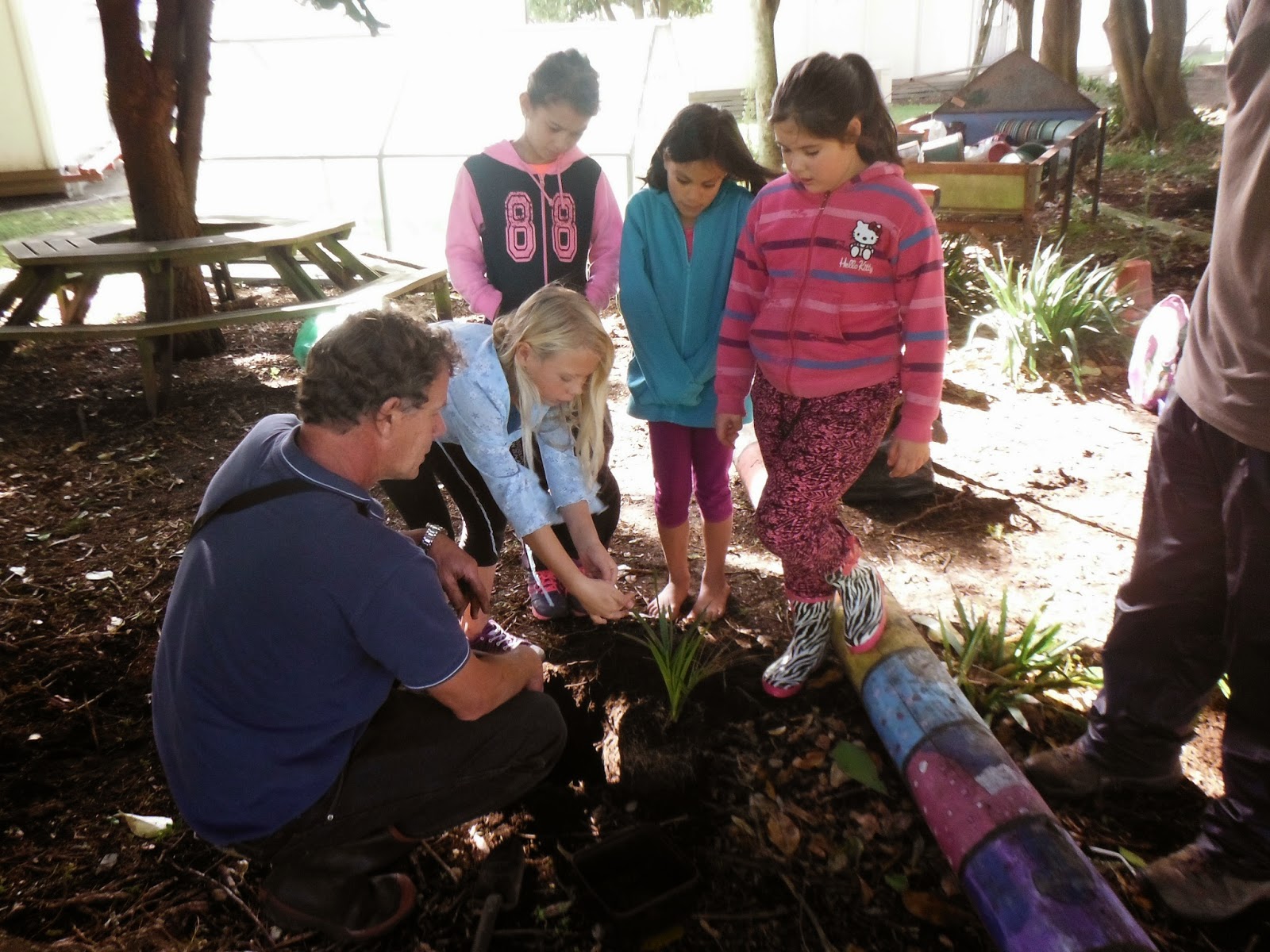 Taranaki Enviroschools: Planting day at Hawera Primary