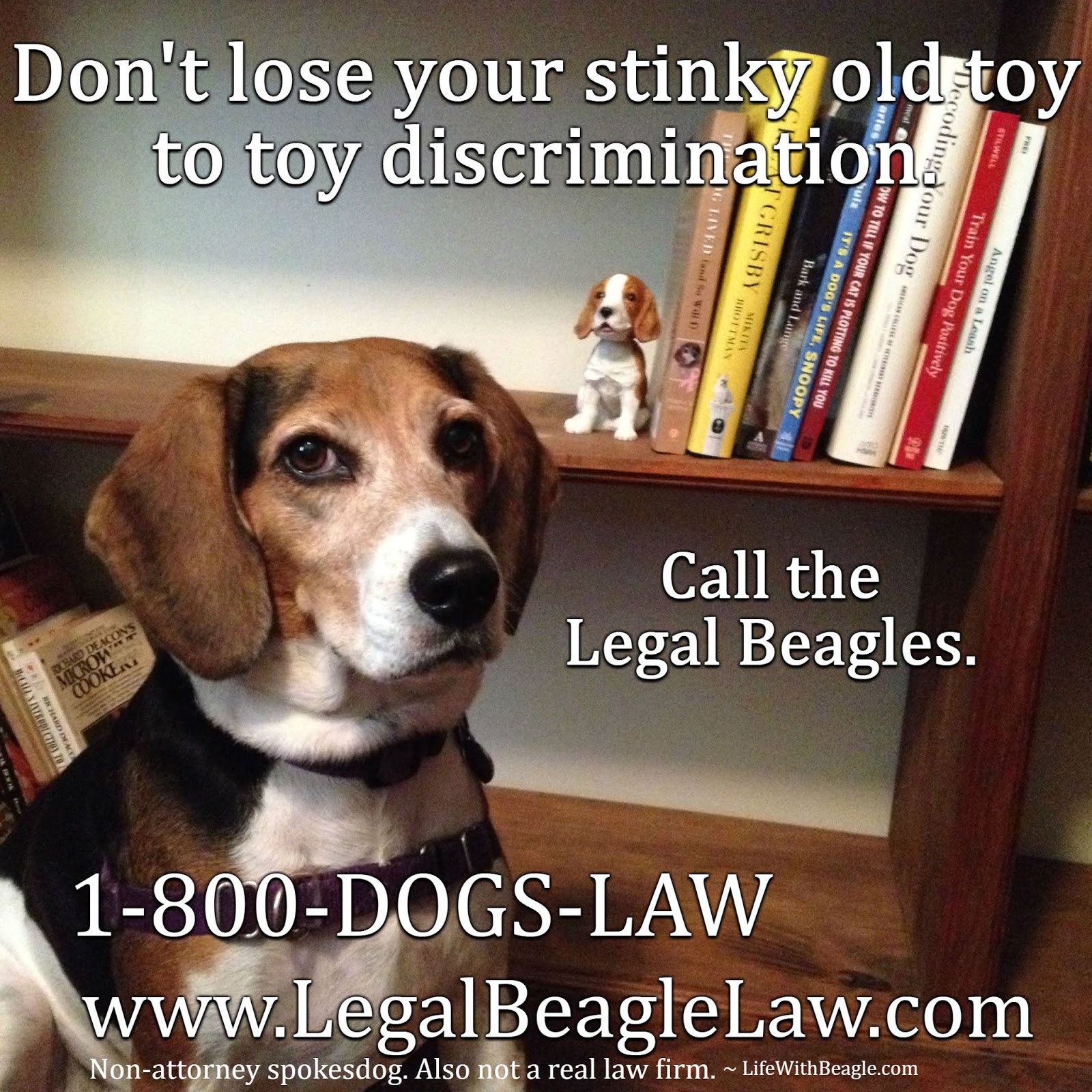Life With Beagle: Legal Beagle Brief #1: Stinky old dog toy v. human